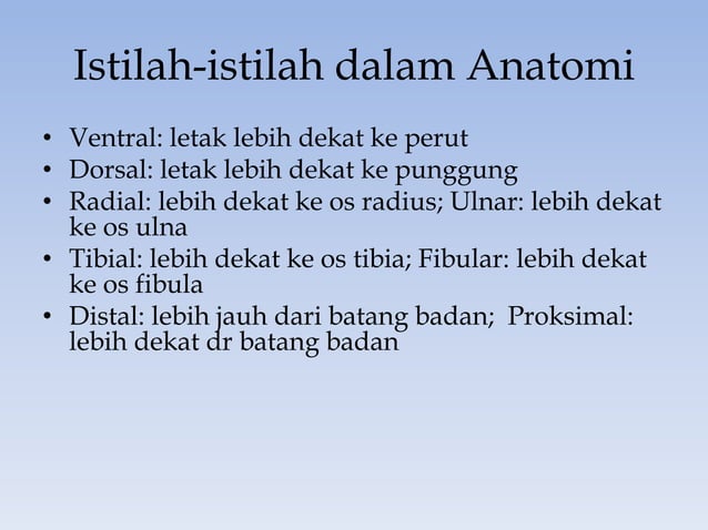 Terminologi anatomi | PPTX