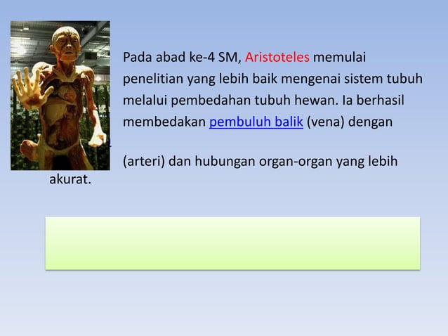 Terminologi anatomi | PPTX