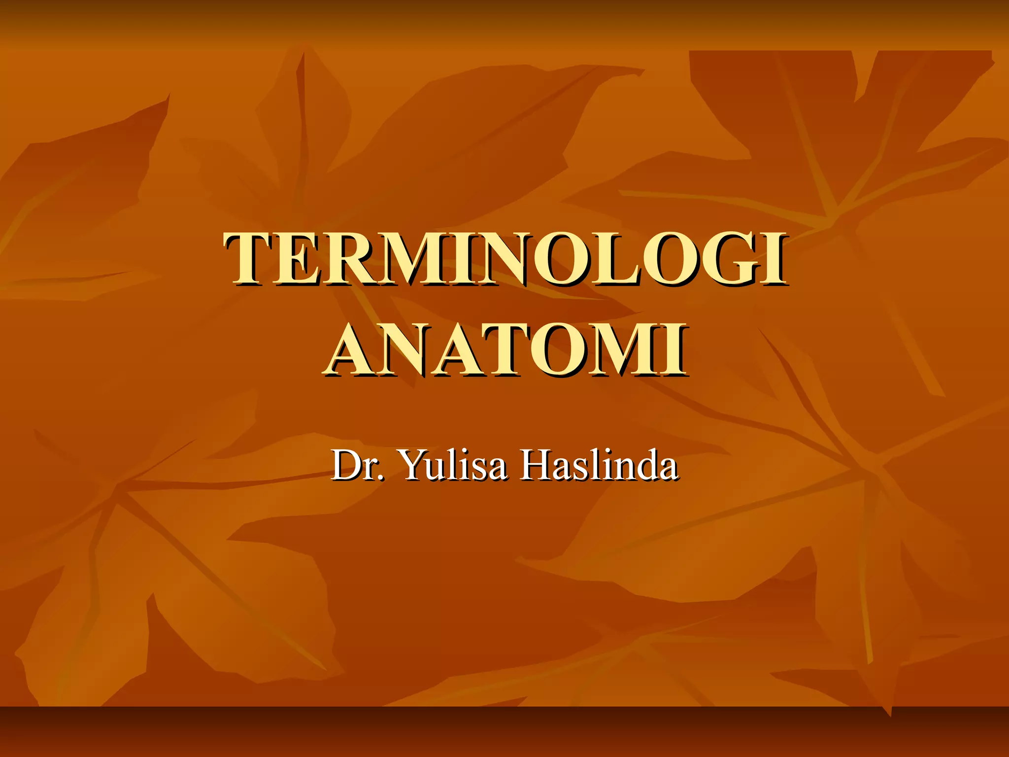 Terminologi anatomi | PPT