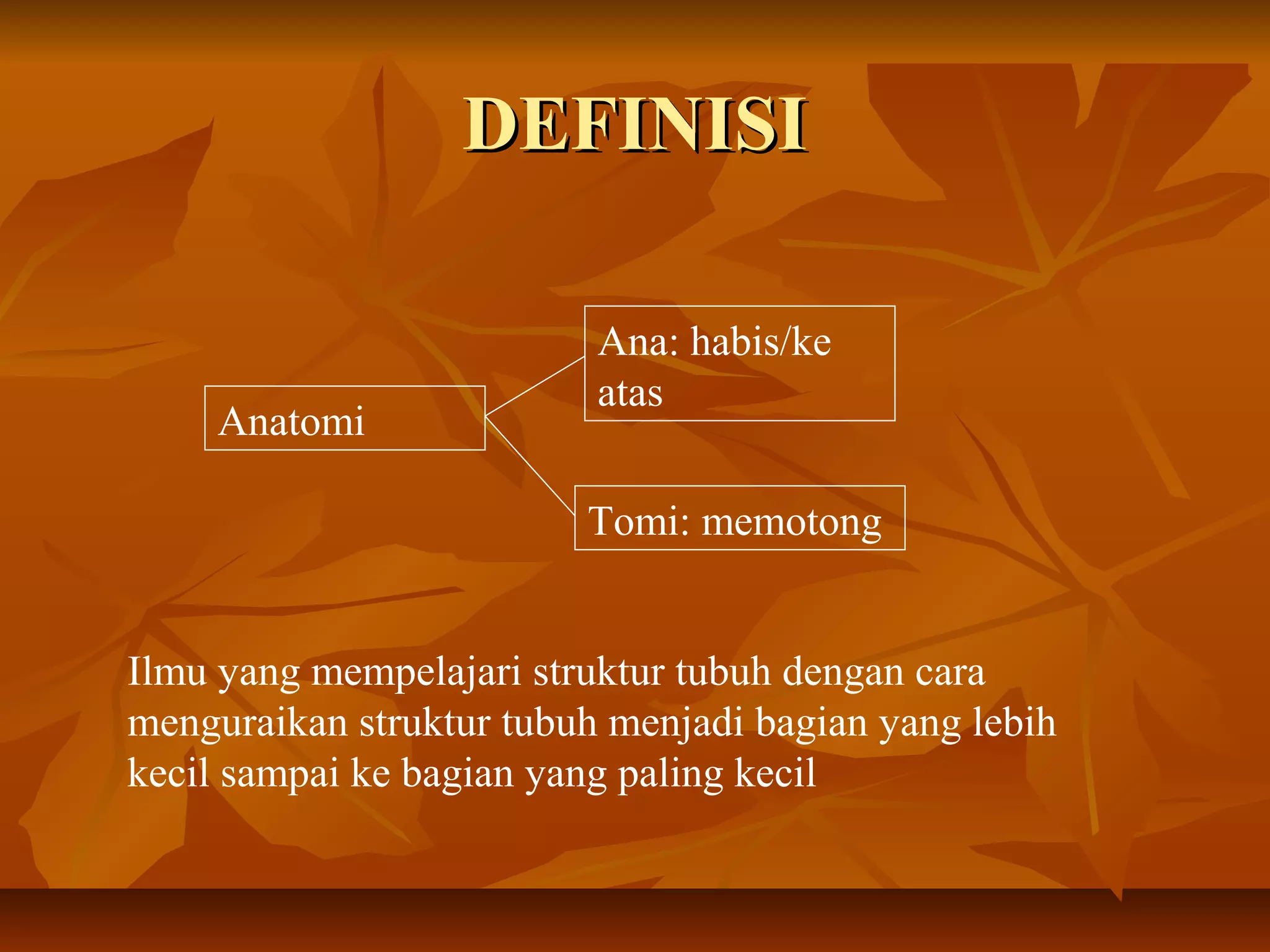 Terminologi anatomi | PPT