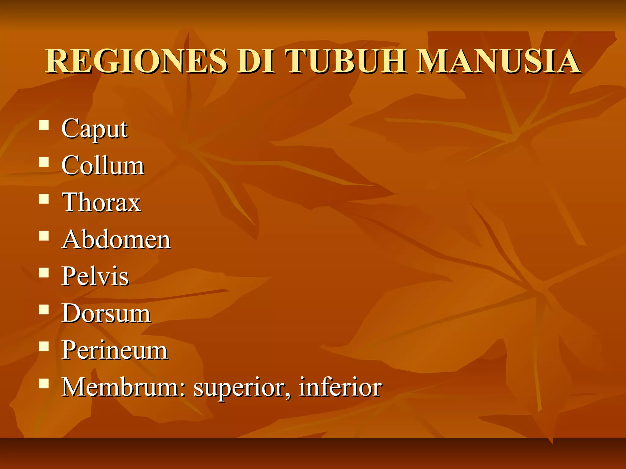 Terminologi anatomi | PPT