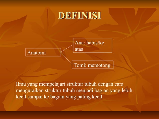 Terminologi anatomi | PPT