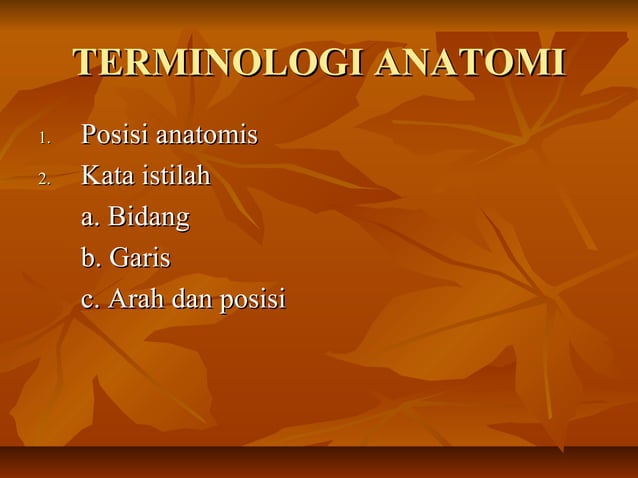 Terminologi anatomi | PPT