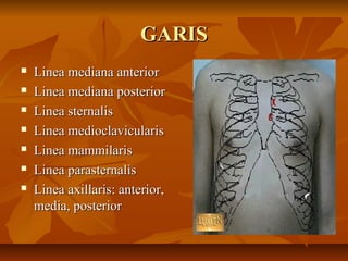 Terminologi anatomi | PPT