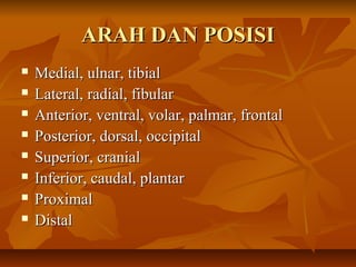 Terminologi anatomi | PPT