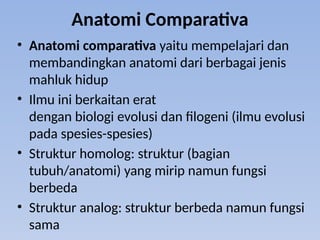 Terminologi Anatomi terminologi anat.pptx