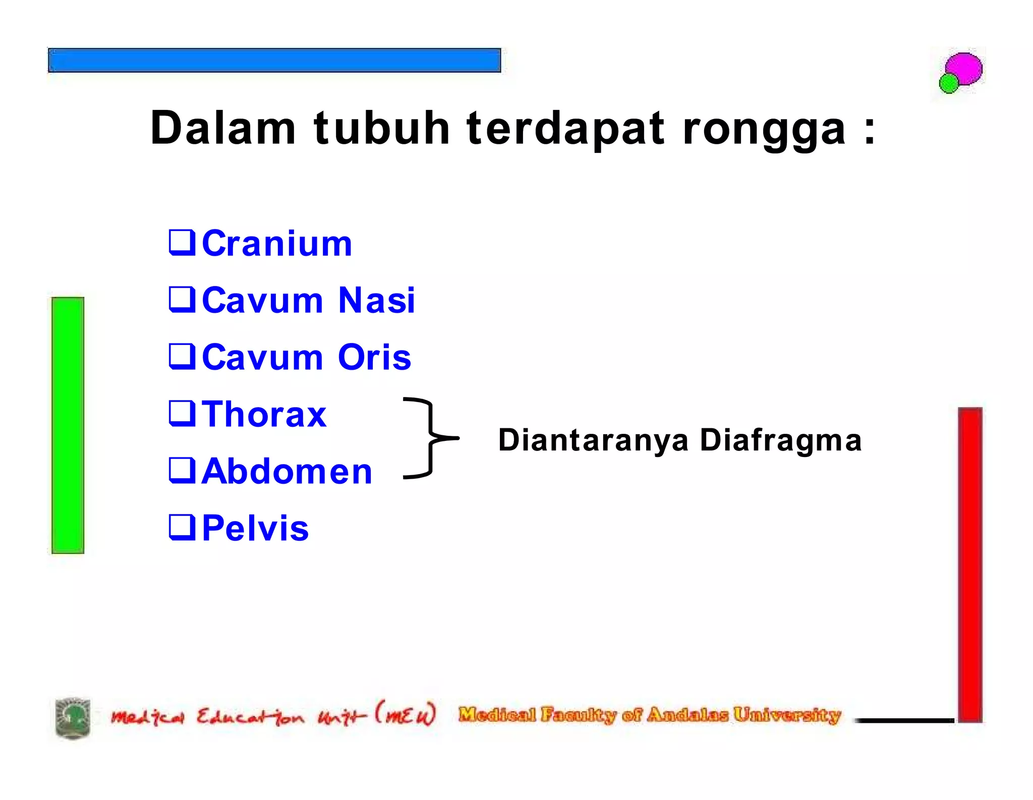 TERMINOLOGI_ANATOMI_TERMINOLOGI_ANATOMI.pdf