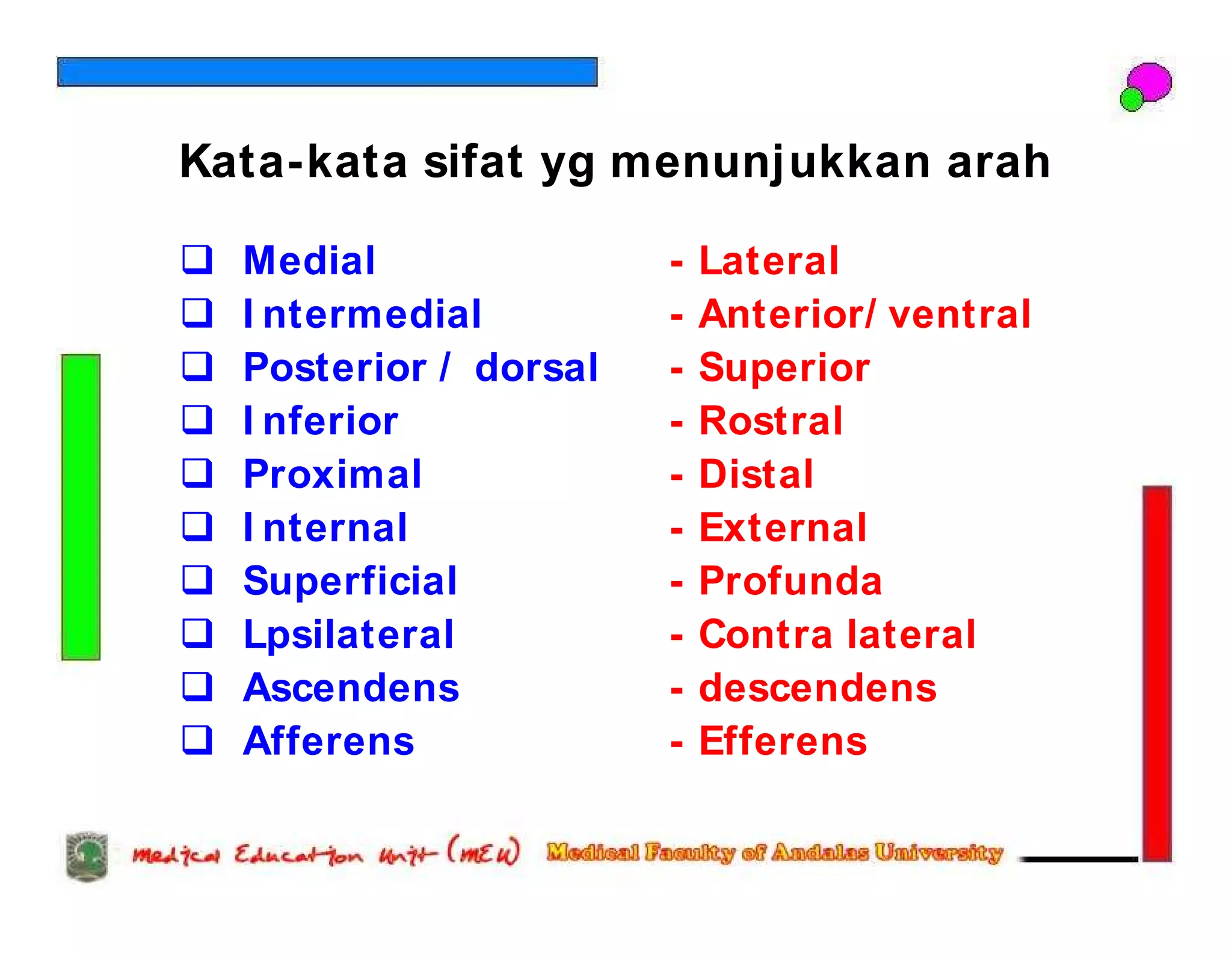 TERMINOLOGI_ANATOMI_TERMINOLOGI_ANATOMI.pdf
