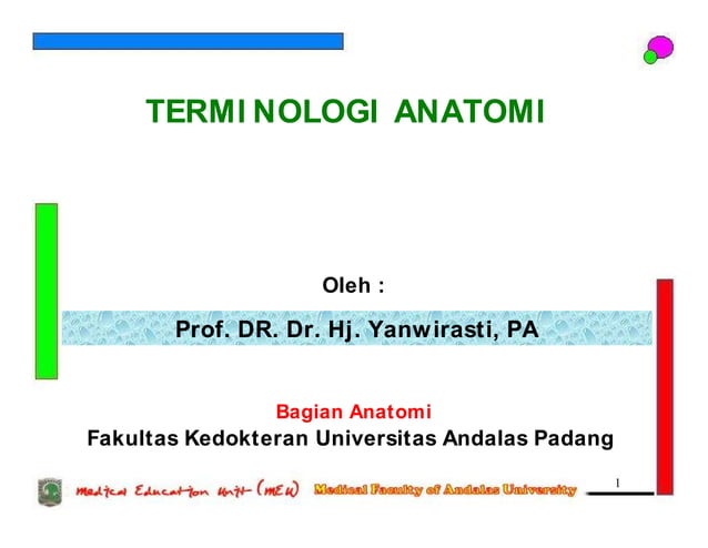 TERMINOLOGI_ANATOMI_TERMINOLOGI_ANATOMI.pdf