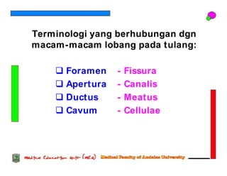 TERMINOLOGI_ANATOMI_TERMINOLOGI_ANATOMI.pdf