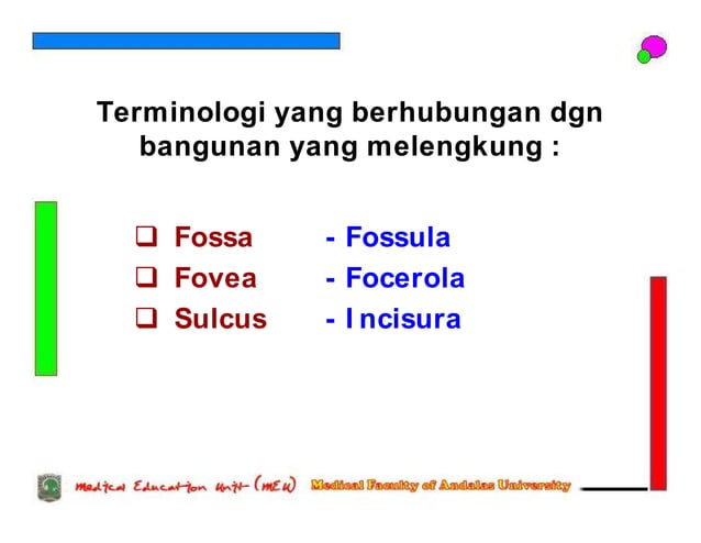 TERMINOLOGI_ANATOMI_TERMINOLOGI_ANATOMI.pdf
