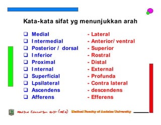 TERMINOLOGI_ANATOMI_TERMINOLOGI_ANATOMI.pdf