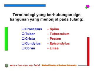 TERMINOLOGI_ANATOMI_TERMINOLOGI_ANATOMI.pdf