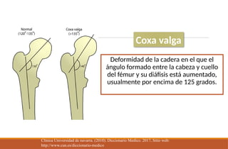 Terminologia ortopedica basicav para enfermeria | PPTX
