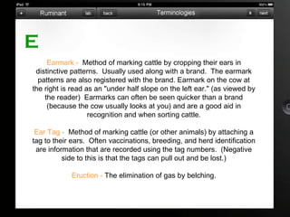Terminologies of Bovine | PPT