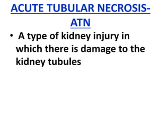 KIDNEY DISORDERS -TERMINOLOGIES | PPTX