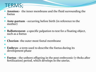 Terminologies used in normal midwifery-mr. panneh | PPTX