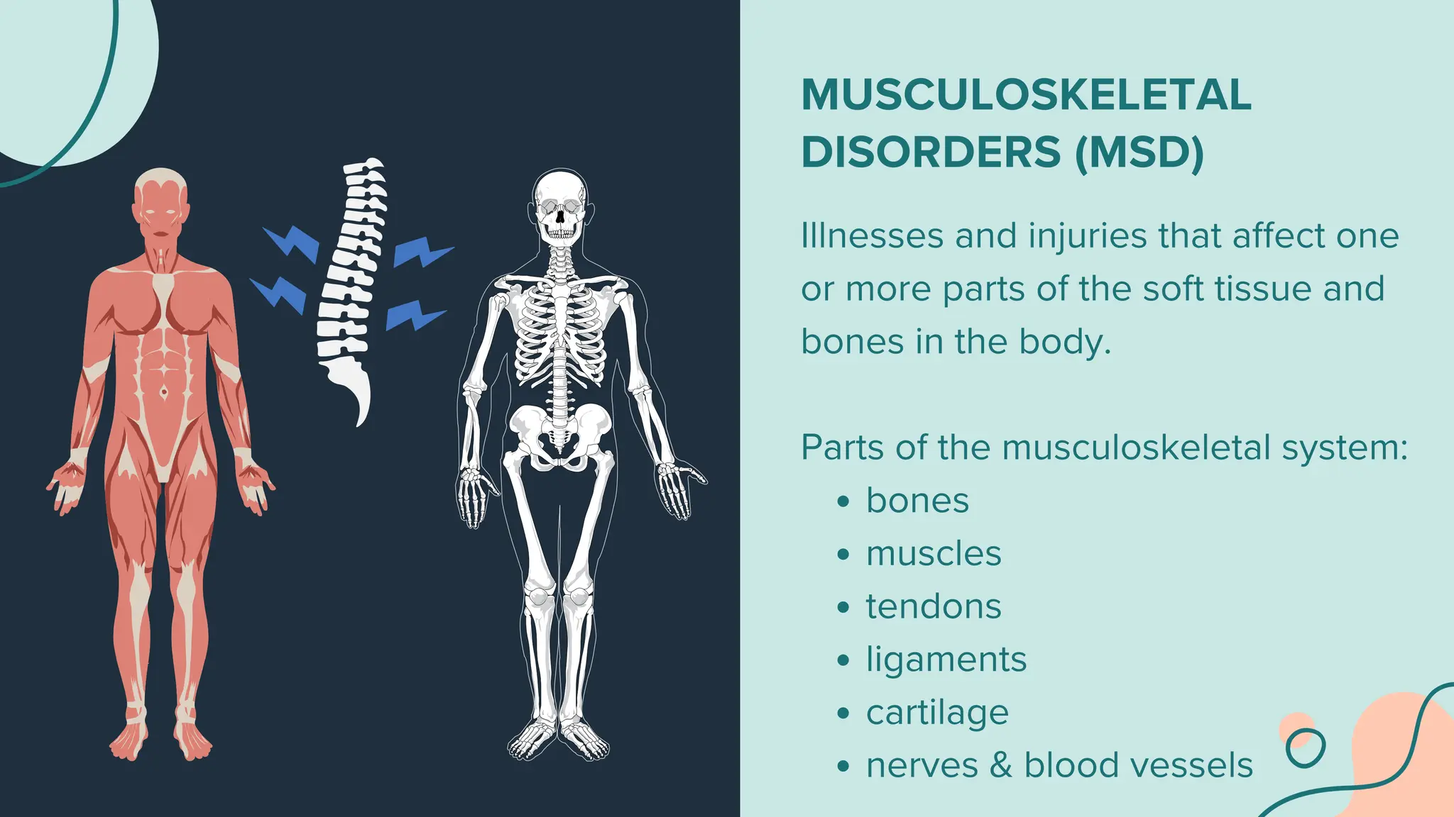Terminologies and Medical Terms for Musculoskeletal Disorders.pdf