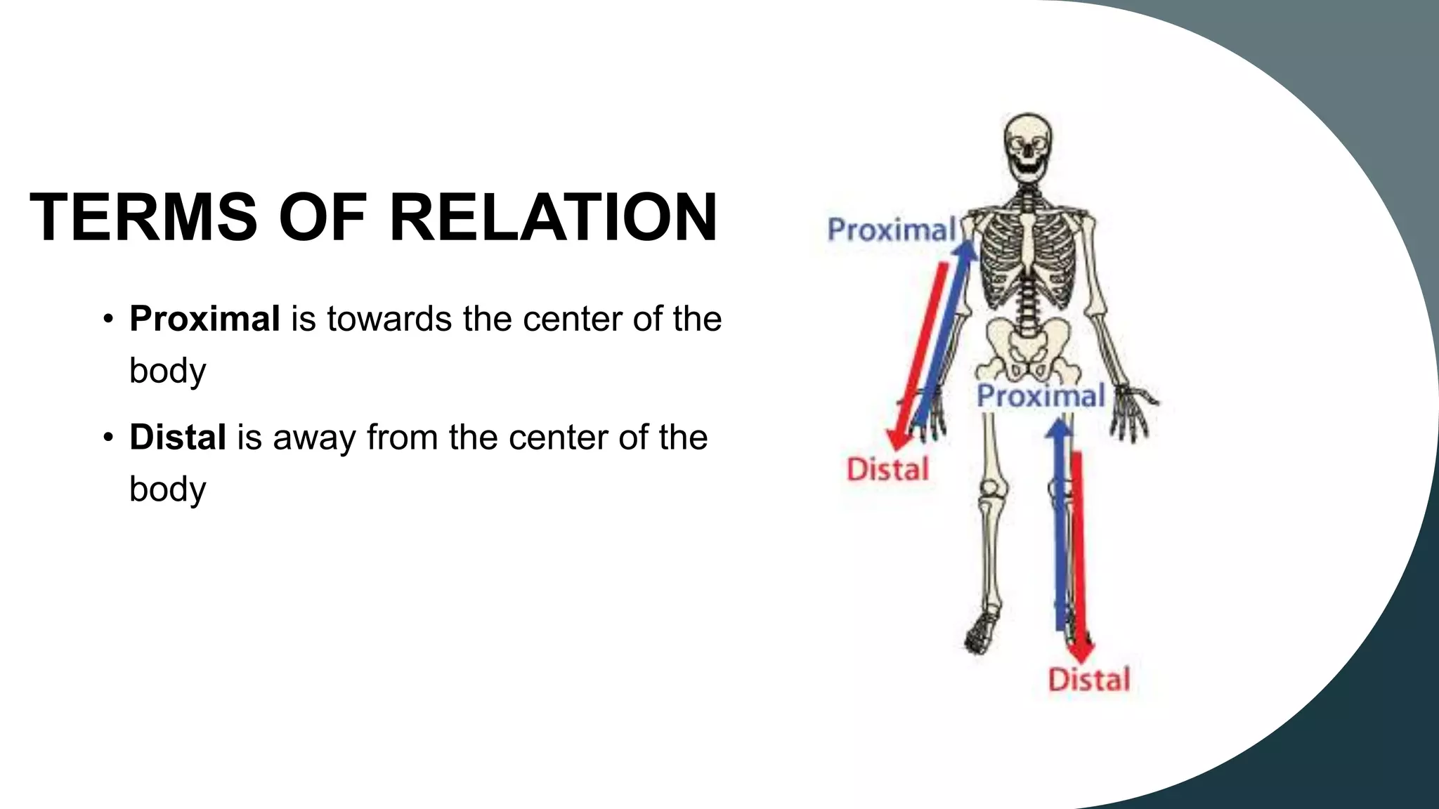 X-ray imaging planes and terminologies | PPTX