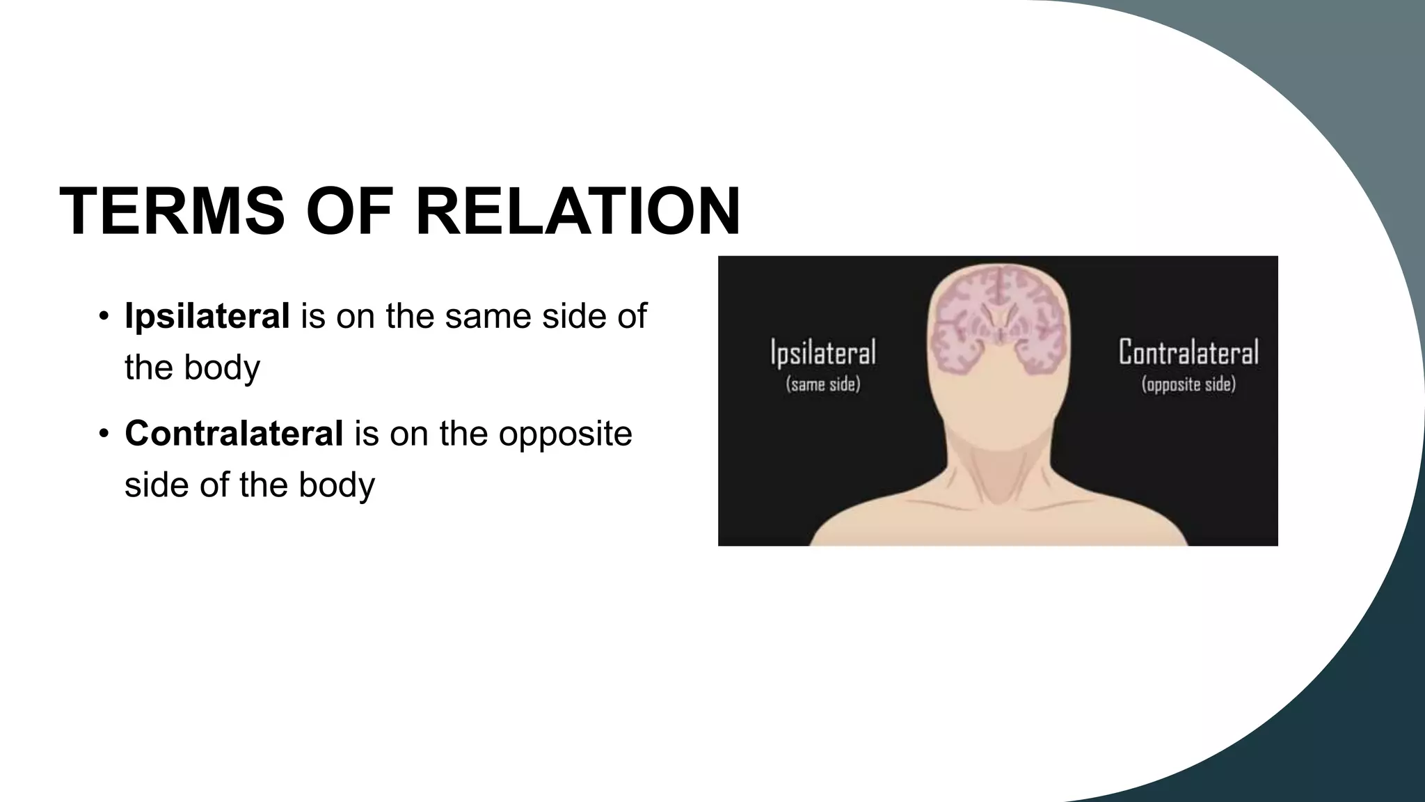 X-ray imaging planes and terminologies | PPTX