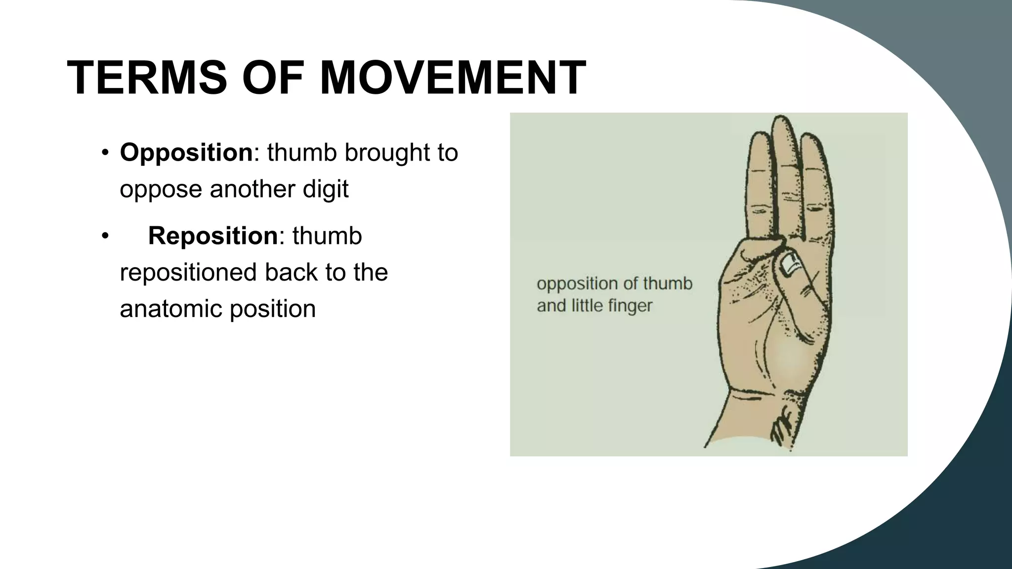 X-ray imaging planes and terminologies | PPTX