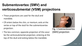 X-ray imaging planes and terminologies | PPTX