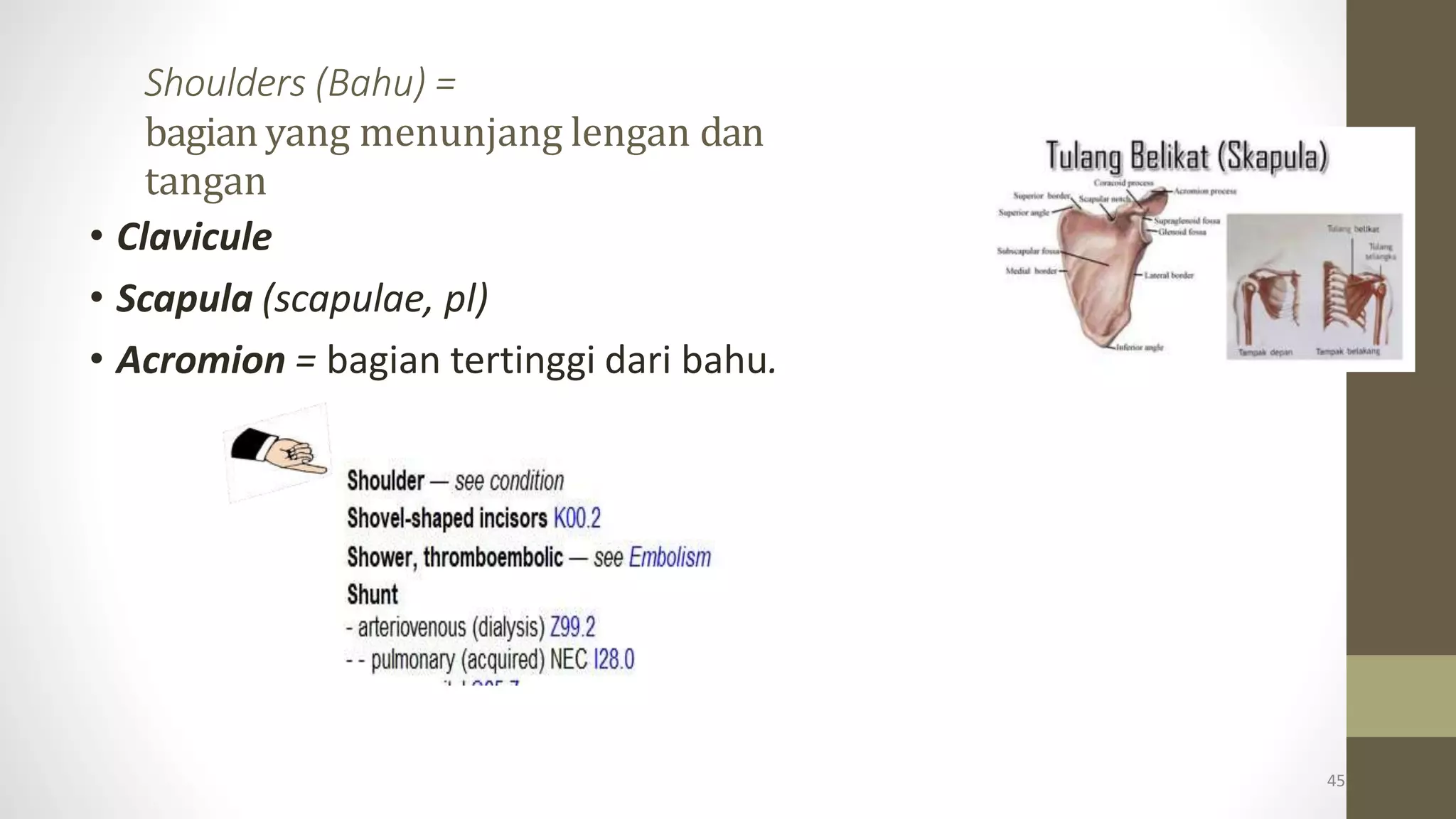 terminologi medis prefix-root-suffix.pptx