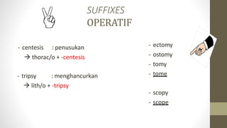 terminologi medis prefix-root-suffix.pptx