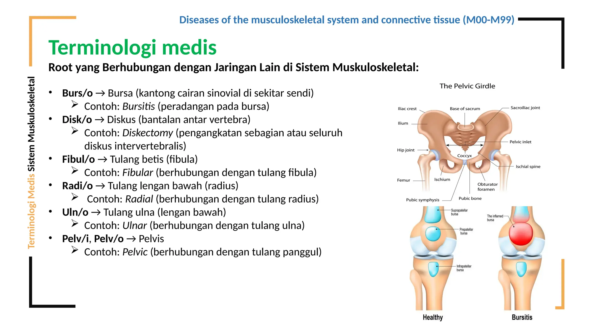 Terminologi medis Sistem Muskuloskeletal.pptx