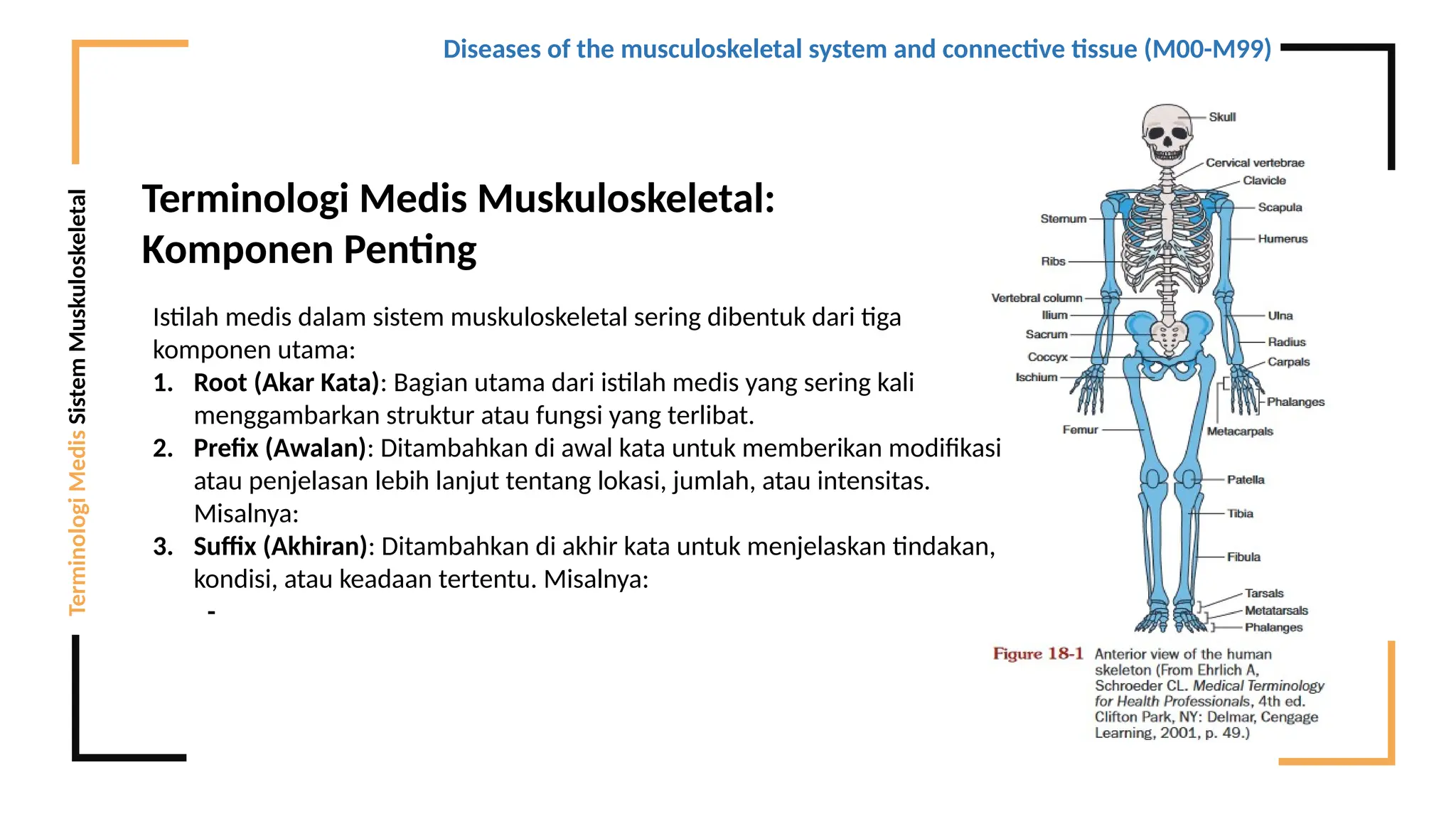 Terminologi medis Sistem Muskuloskeletal.pptx