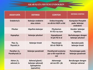 akar kata sistem endokrin, sistem saraf, indera | PPT