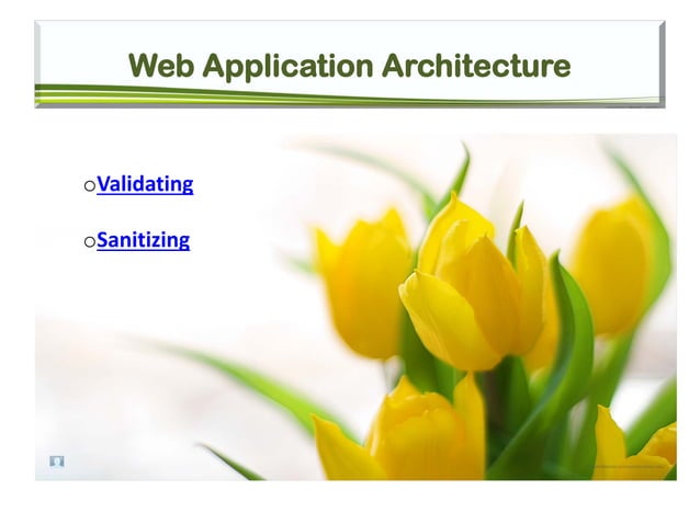 Validating and Sanitizing User Data | PPT Validating and Sanitizing User Data | PPT