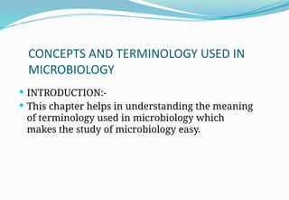 terminology-221224052815-81364821 (1).pptx