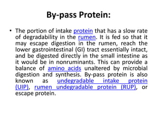 Terminology.pptx All about The pathology | PPTX | Chemistry | Science