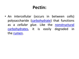 Terminology.pptx All about The pathology | PPTX | Chemistry | Science