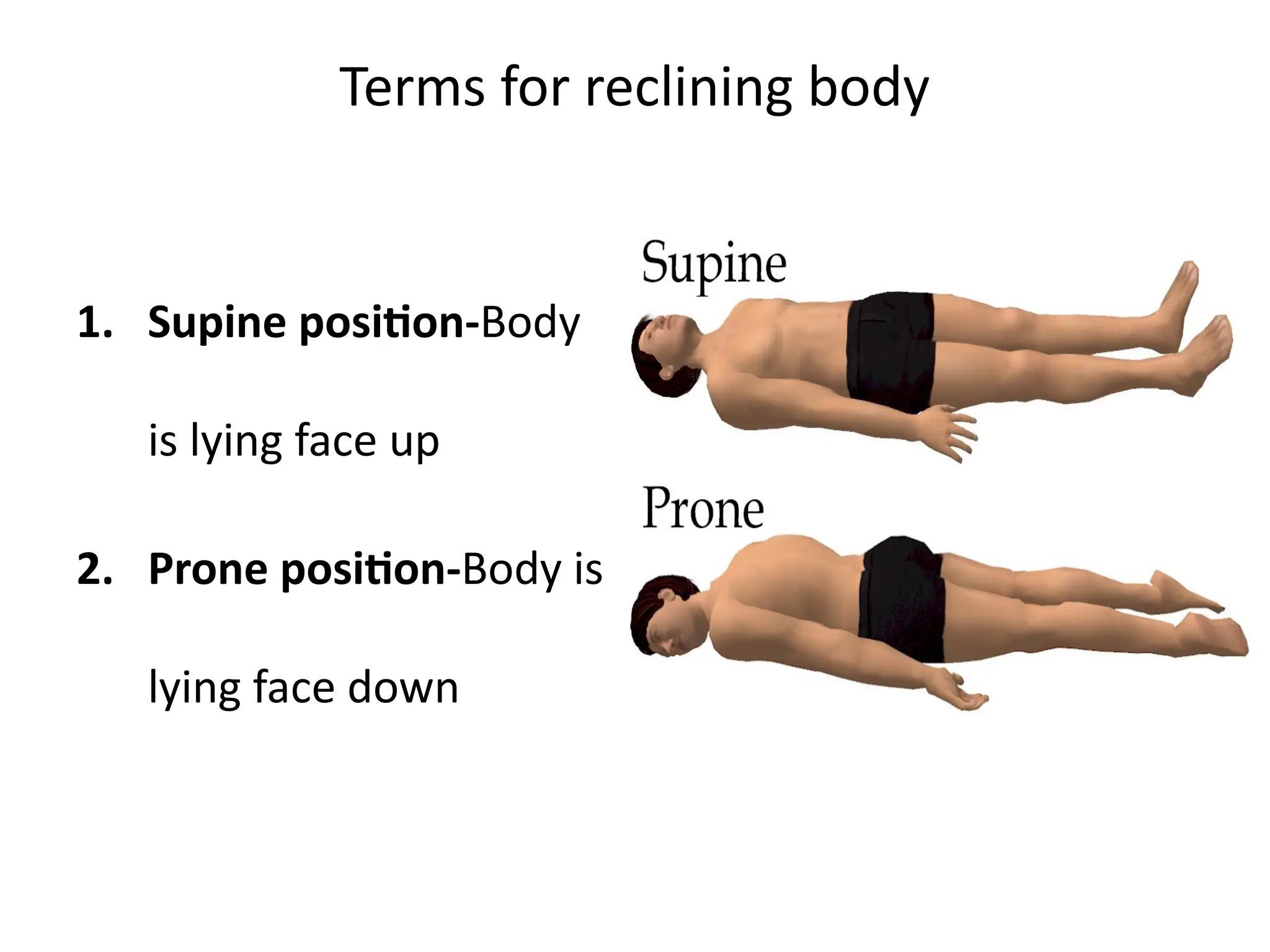 terminology in anatomy for UG 1st Year.pptx