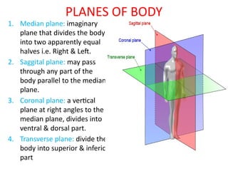 terminology in anatomy for UG 1st Year.pptx