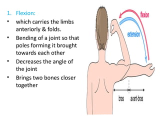 terminology in anatomy for UG 1st Year.pptx