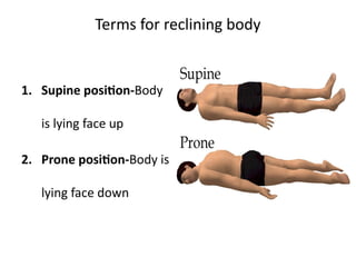 terminology in anatomy for UG 1st Year.pptx
