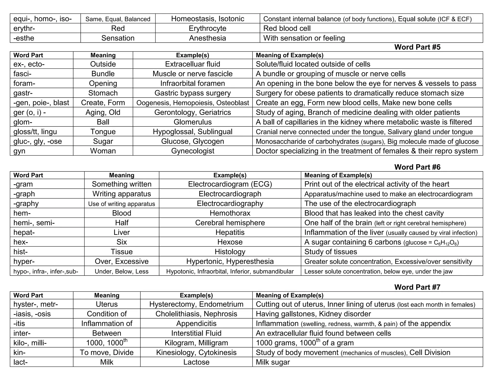 Terminology (2).pdf