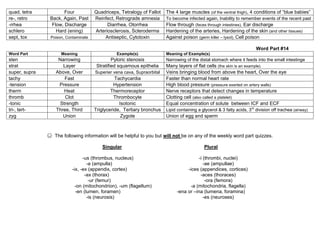 Terminology (2).pdf