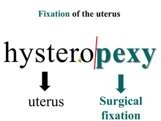 Terminology 4.pdf