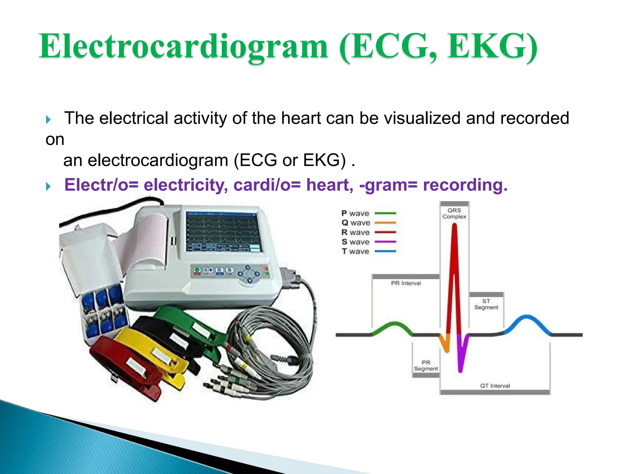 terminology 9 cardio vascular vs 2024-2025.pptx