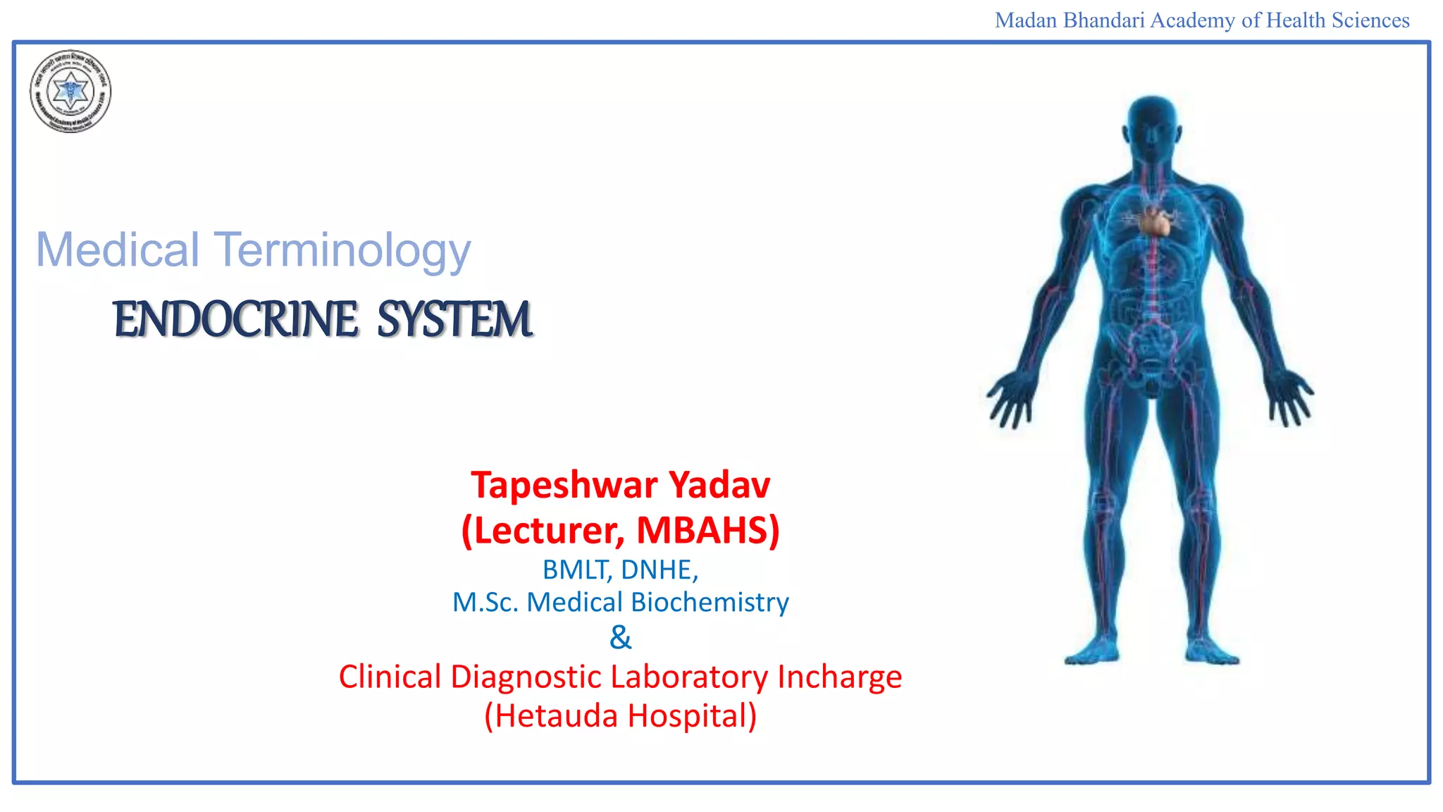 Medical Terminology of Endocrine System | PPTX