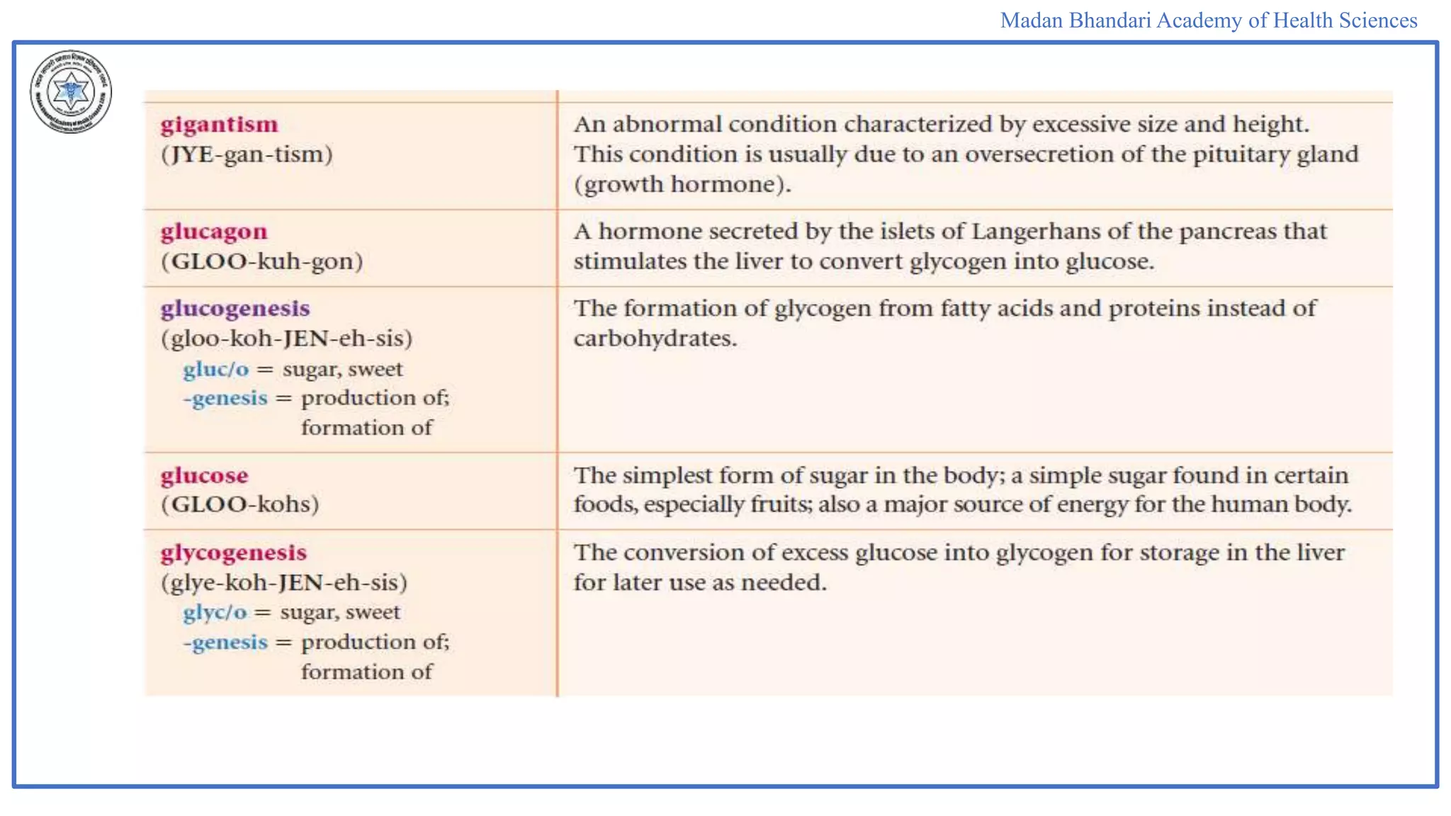 Medical Terminology of Endocrine System | PPTX