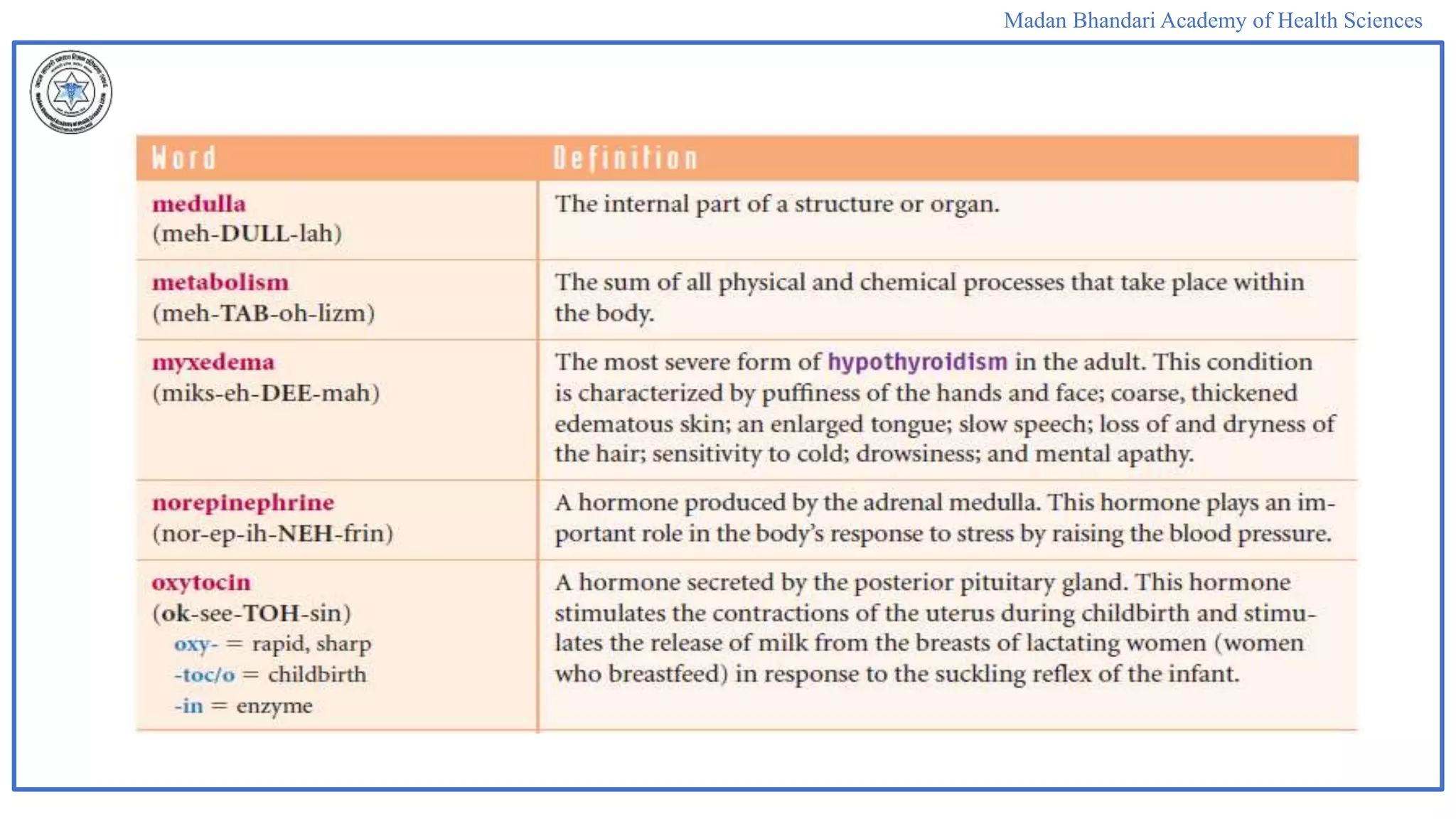 Medical Terminology of Endocrine System | PPTX