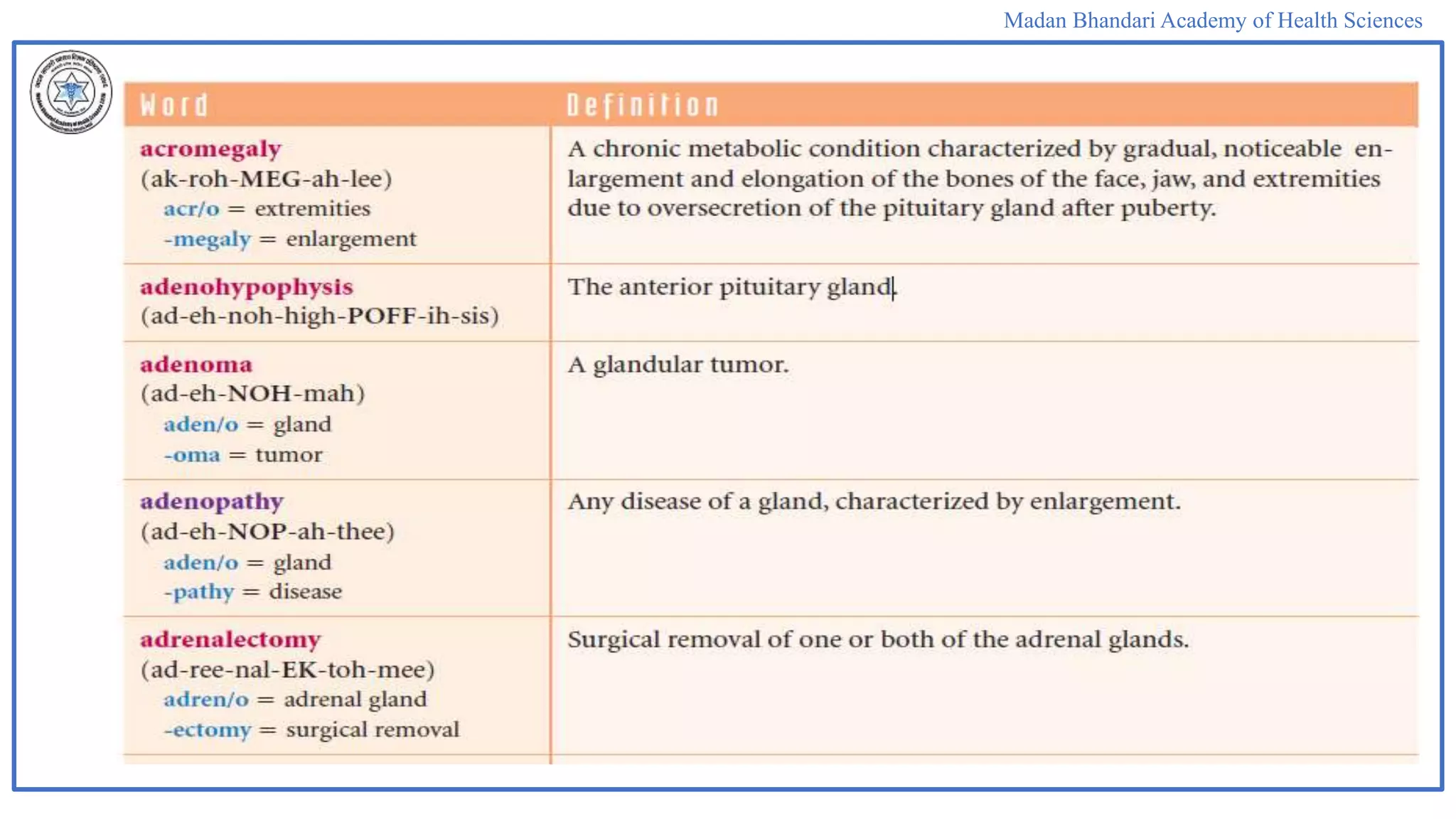 Medical Terminology of Endocrine System | PPTX