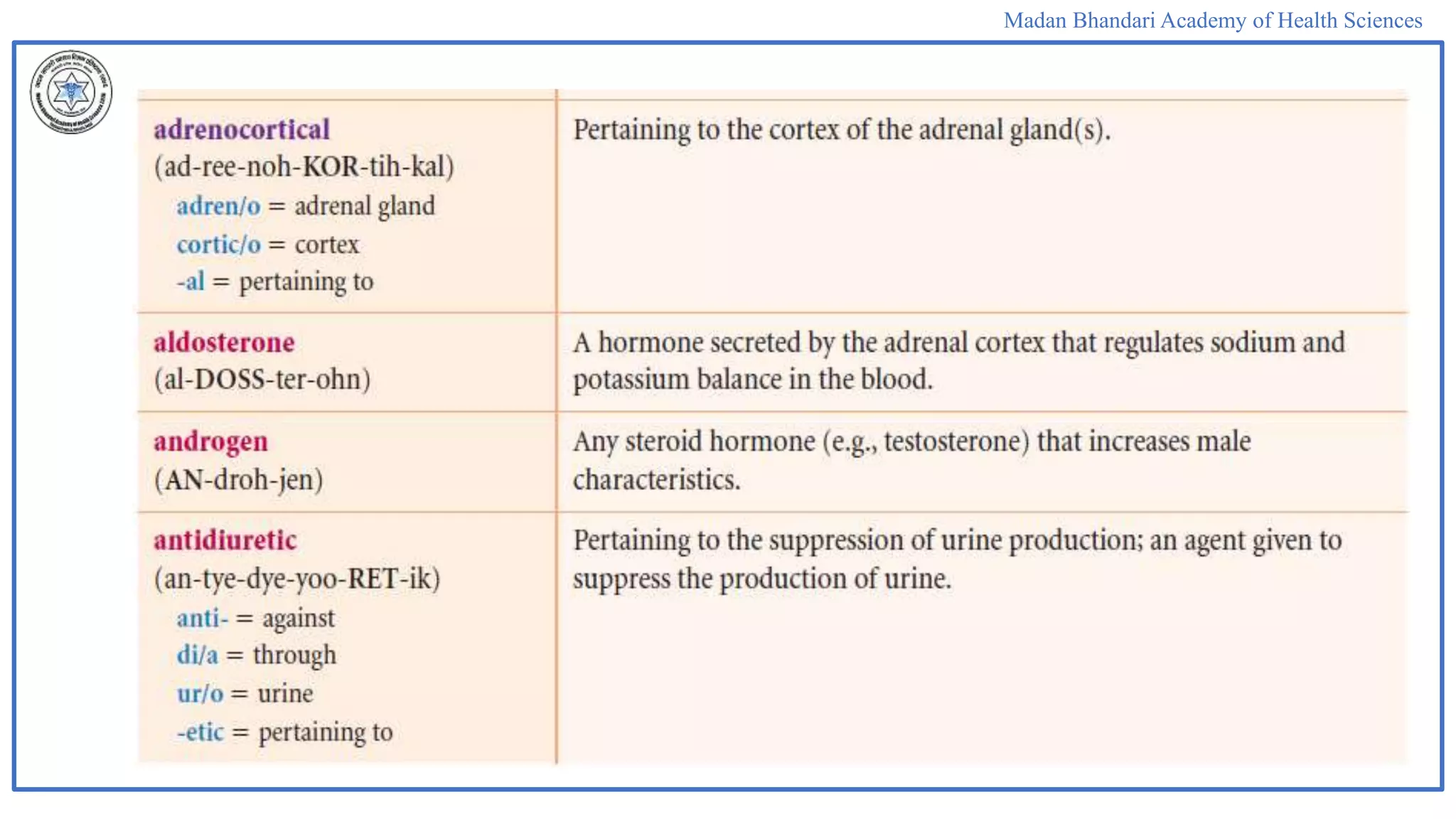 Medical Terminology of Endocrine System | PPTX