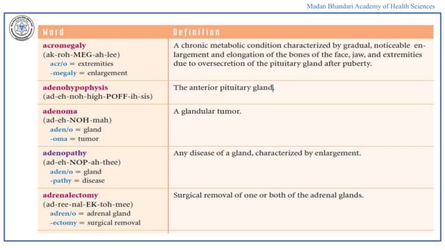 Medical Terminology of Endocrine System | PPTX | Hormonal Disorders ...