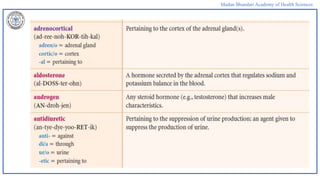Medical Terminology of Endocrine System | PPTX